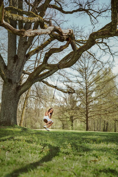 Lillagunga Disco Outdoor swing, walnut - black | Finnish Design Shop