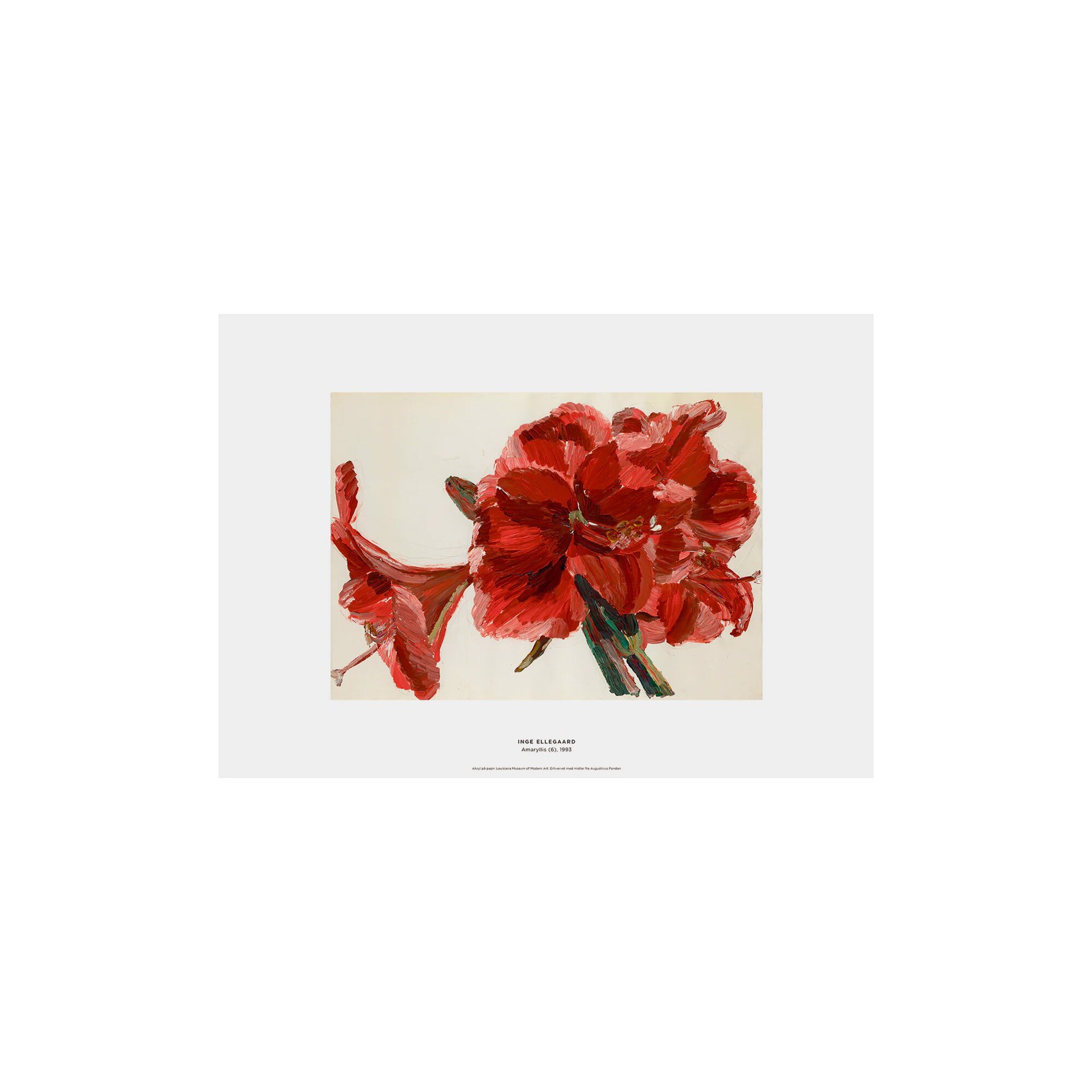 Louisiana Museum of Modern Art Inge Ellegaard - Amaryllis 6 1993, A3 ...
