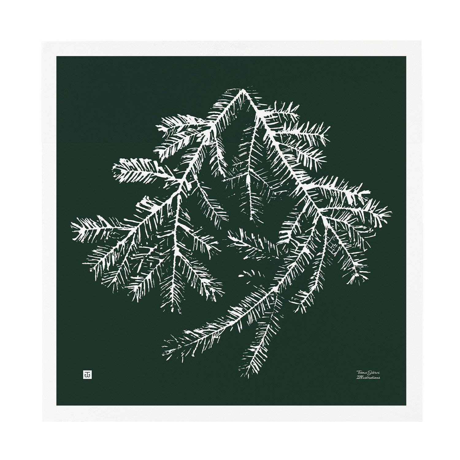 Teemu Järvi Illustrations Spruce Branch poster, 50 x 50 cm, forest ...