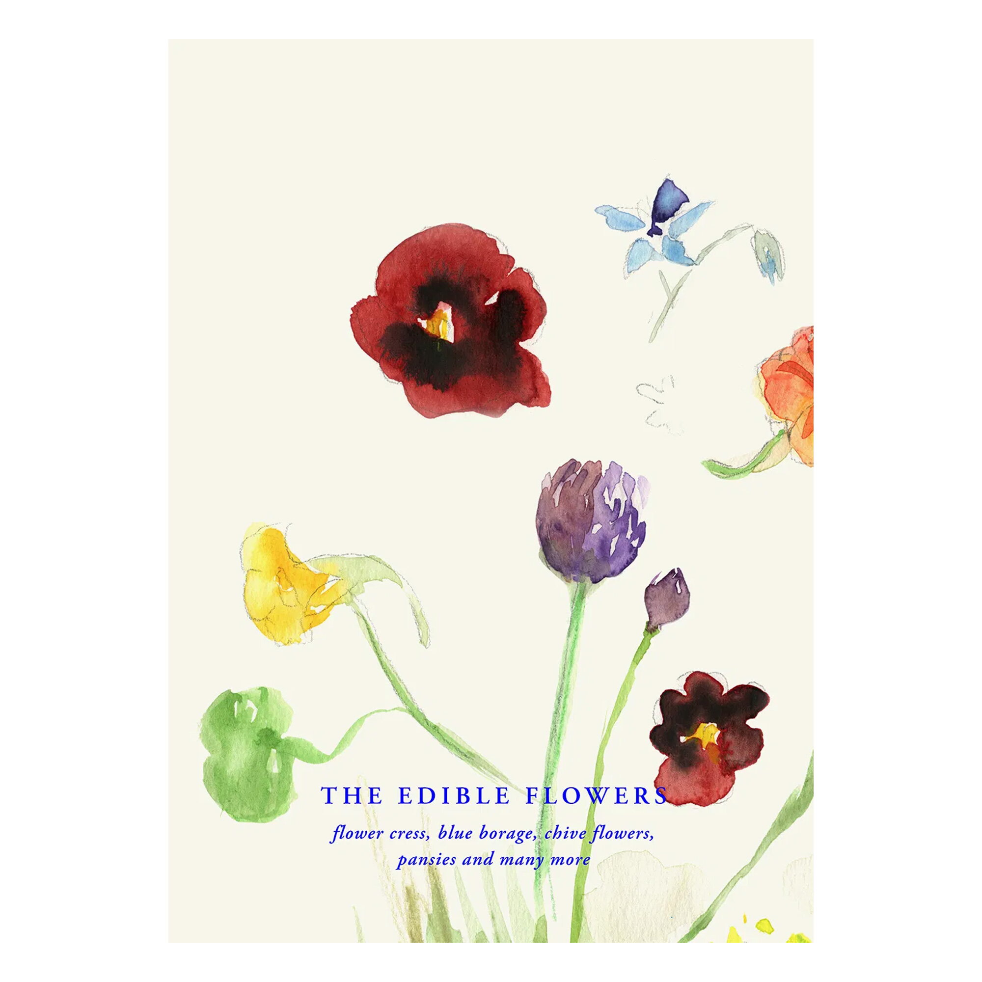 Paper Collective The Edible Flowers poster | Finnish Design Shop UK