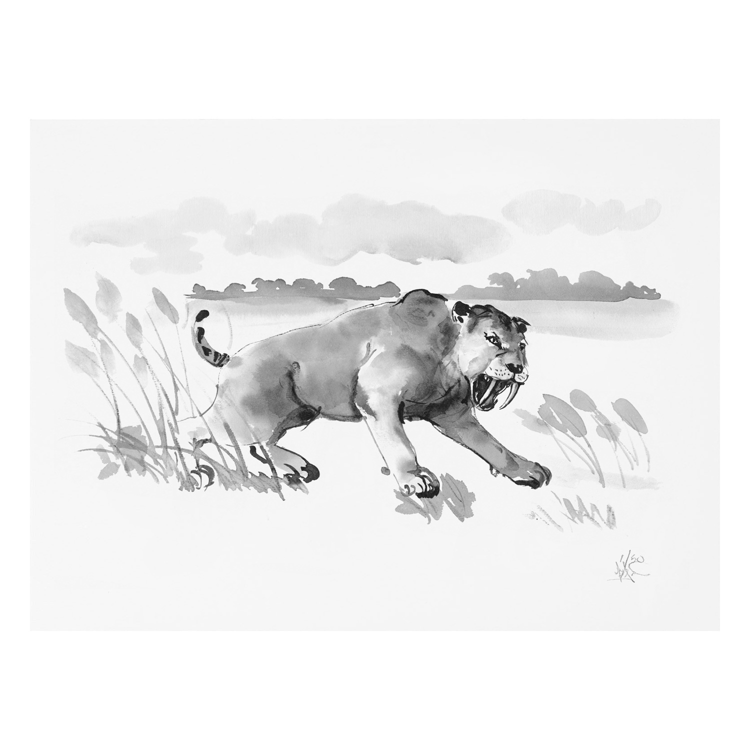 Teemu Järvi Illustrations Sabre-Toothed Cat poster, 40 x 30 cm ...