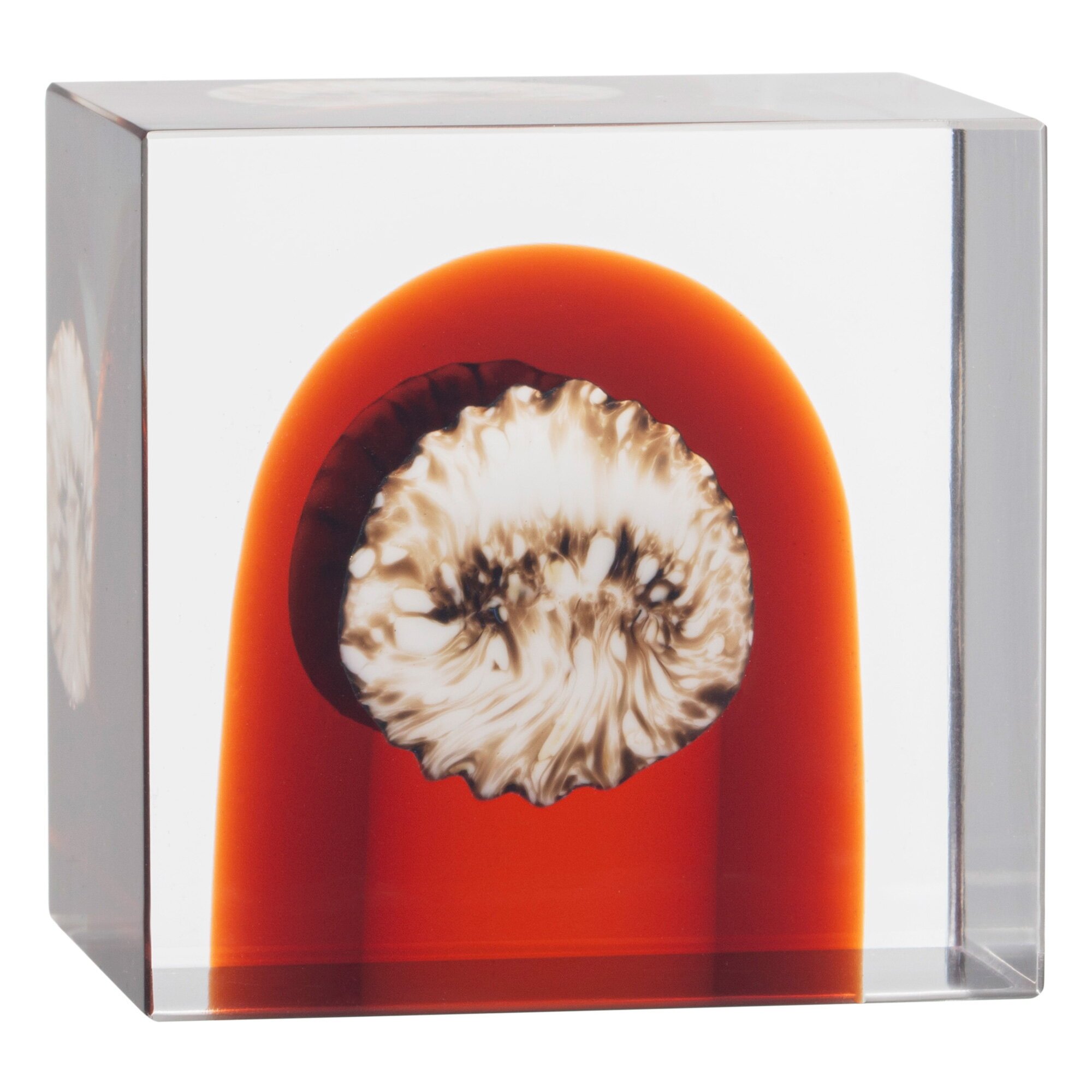 Iittala Annual Cube 2026 | Finnish Design Shop NL