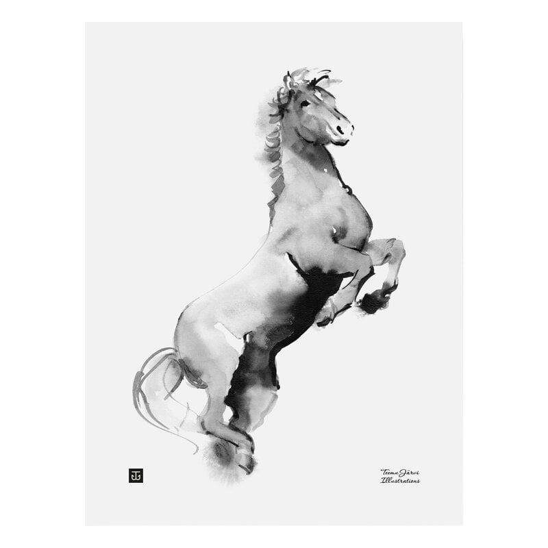 Teemu Järvi Illustrations Horse poster, 30 x 40 cm | Finnish Design Shop