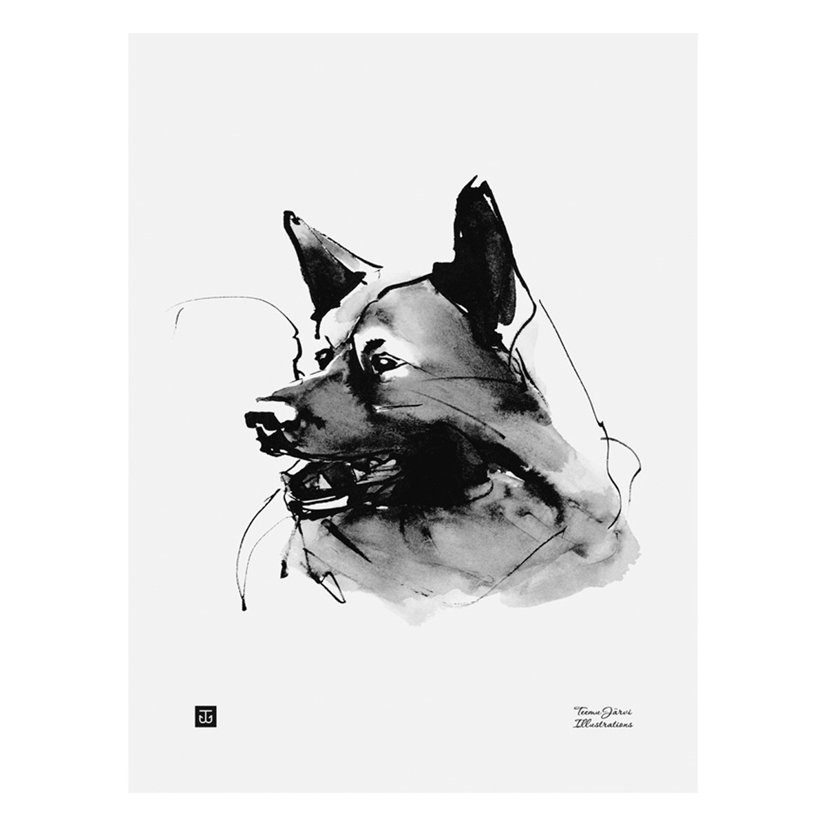 Teemu J rvi Illustrations Tutkimusretkeilij Juliste 30 X 40 Cm 