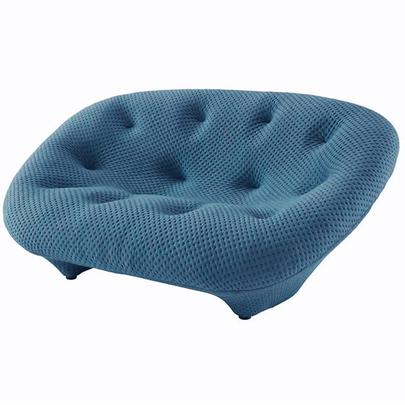 Ligne Roset Ploum 2-seater sofa, high back, blue | Pre-used design ...
